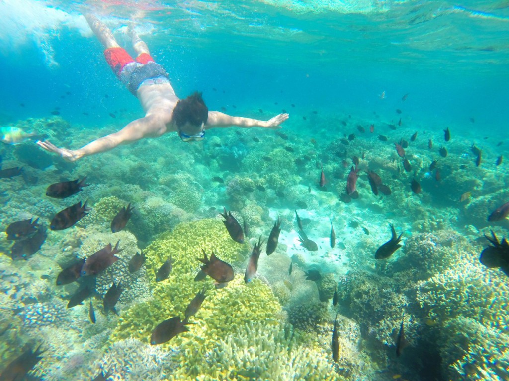 Best Places to Go Snorkeling That are Only a Road Trip Away