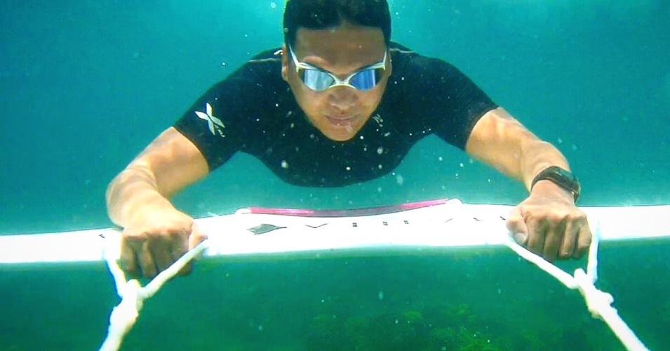 Must-Try: Manta Ray Dive Wing Ride in Batangas