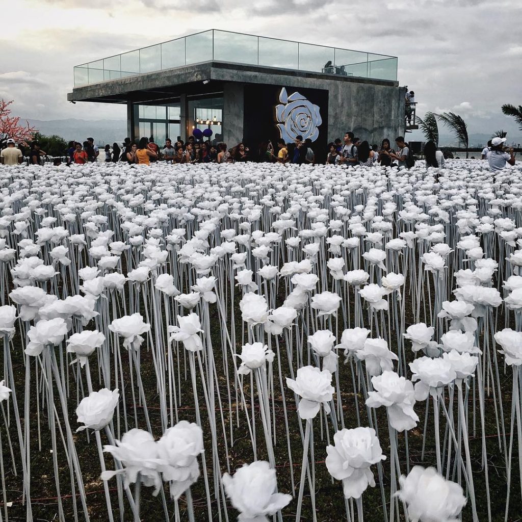 You Need to Check Out This “Bed of White Roses” in Cebu’s Newest Café