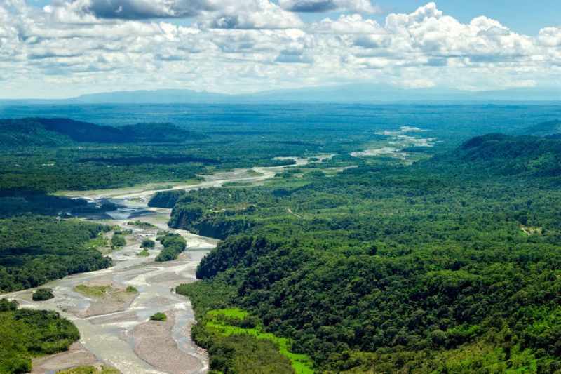 The Amazon: A Drone Tour