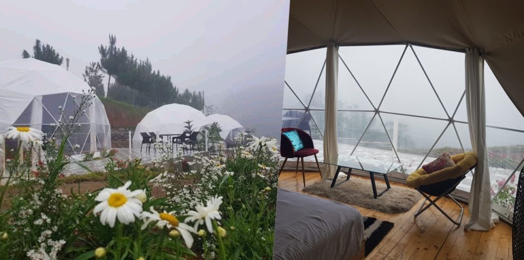 Wake Up Next to a Field of Strawberries with this Glamping Experience ...