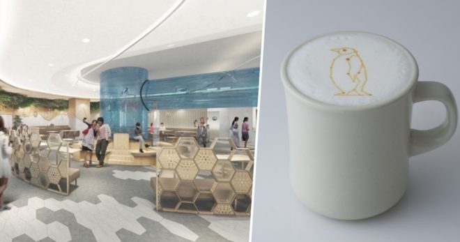 Penguin Cafe Taiwan: Sip Coffee While Watching Penguins