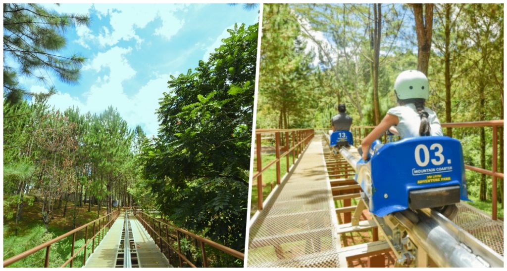 Alpine Coaster Philippines: Dahilayan Adventure Park's Thrilling ...