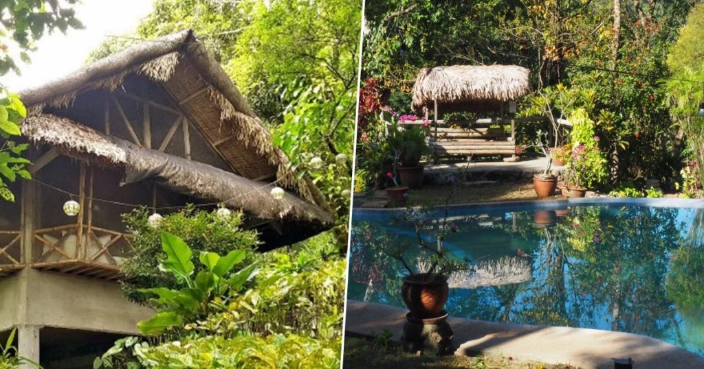 Mount Purro Nature Reserve in Antipolo is Perfect for Fam Staycations ...