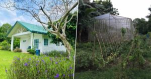 Arca Country Farm in Cavite Will Let You Experience Farm Living