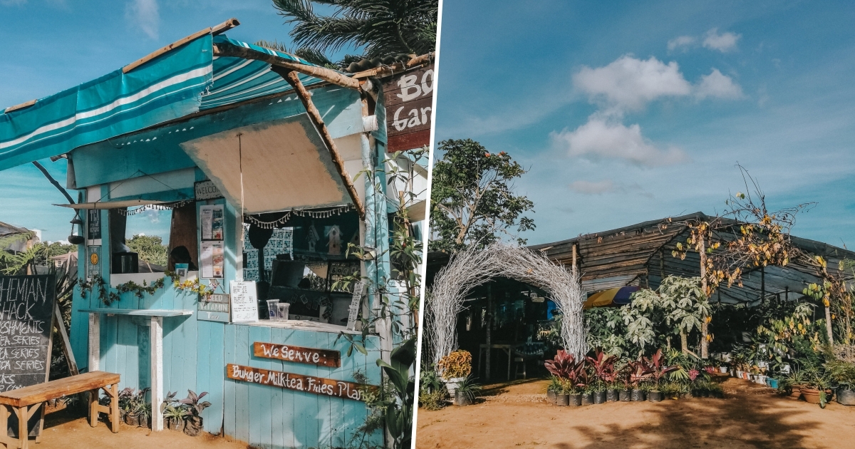 Bohemian Shack: This Roadside Cafe Is Perfect for Plantitos & Plantitas