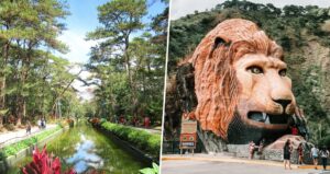 Experience the Best of Baguio for P1.9k with Breathe Baguio Tour