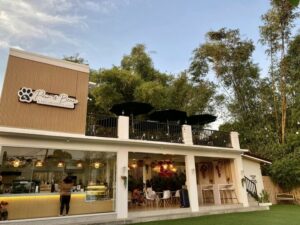 No Pet Gets Left Behind at Paw & Bean Cafe in Imus, Cavite