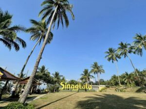 Make the Outdoors Your Playground at Sinagtala Farm Resort